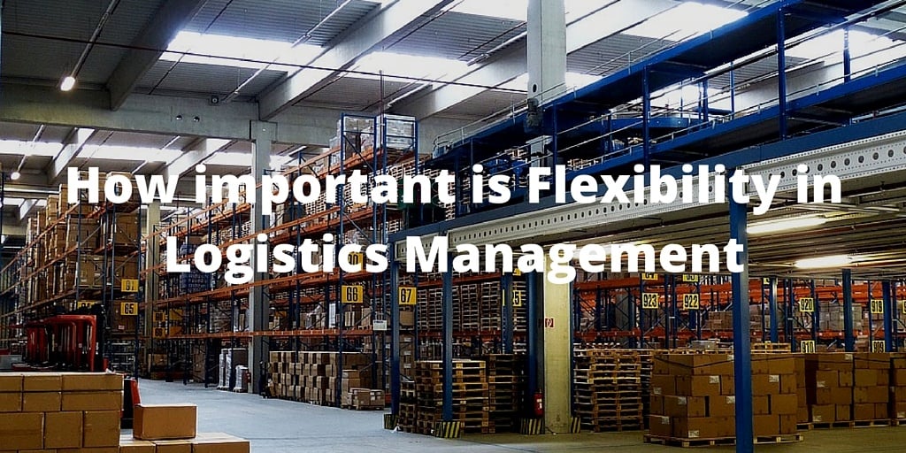 Flexibility in Logistics Management